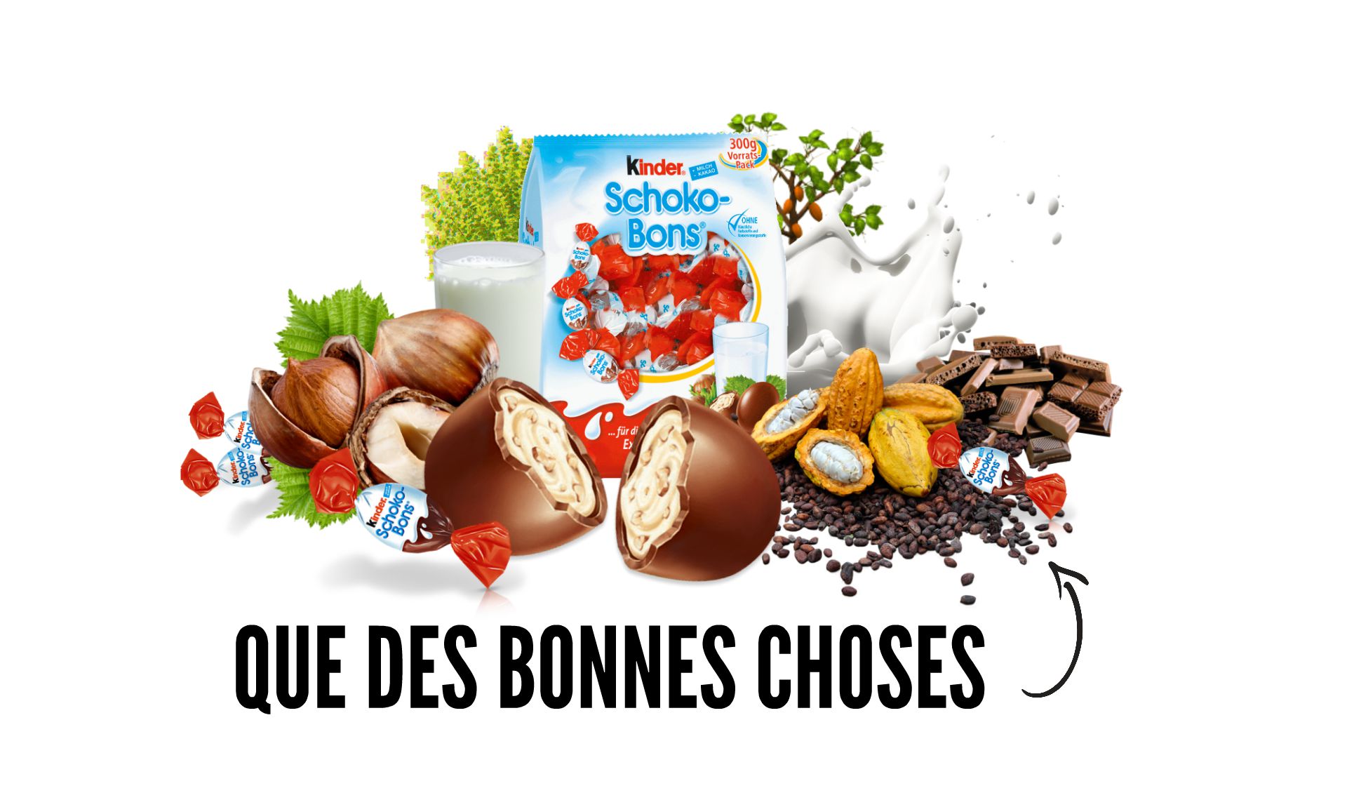 Top 12 des bonnes raisons de se nourrir exclusivement de Schoko-Bons
