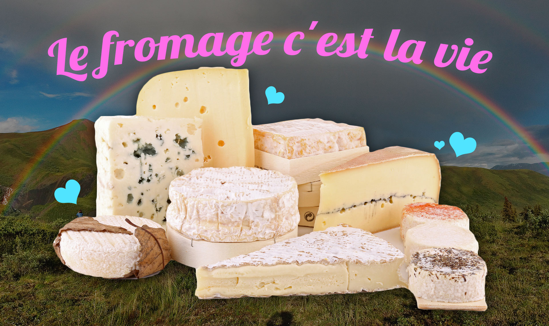 Top 10 des bonnes raisons de se nourrir EXCLUSIVEMENT de fromage