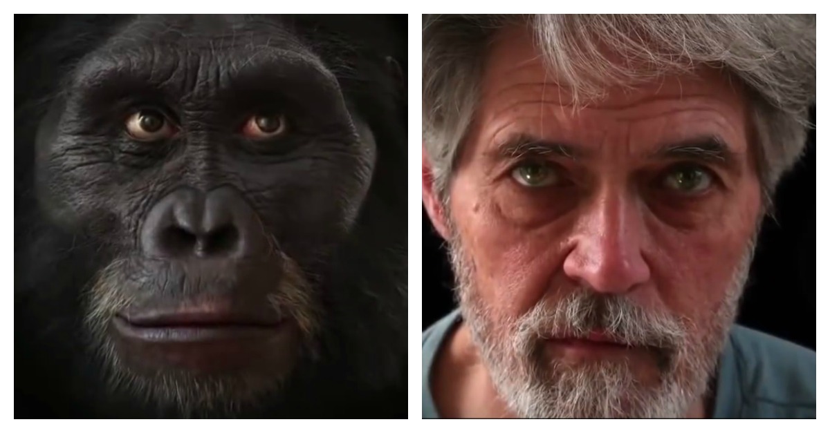 L’évolution de la tête humaine depuis 6 millions d’années