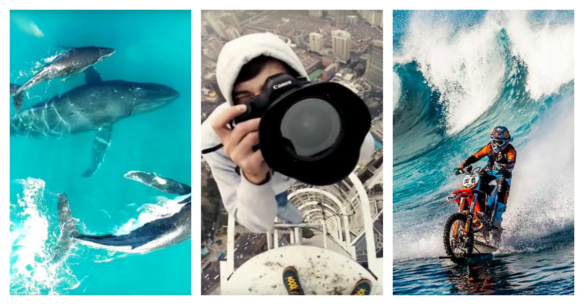 La compilation ultime des meilleures vidéos de 2015