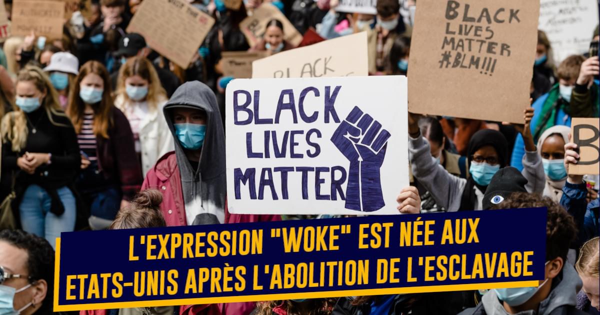 Top 8 des trucs à savoir sur les wokes, un mot qui déchaîne les passions