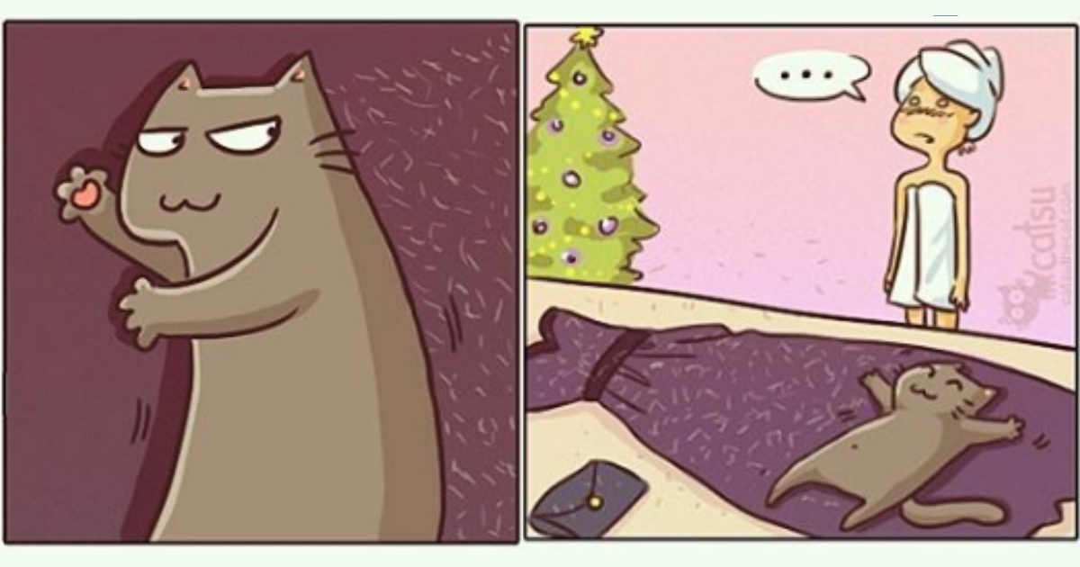 Top 15 des illustrations de Catsu the Cat, les chats sont des FDP