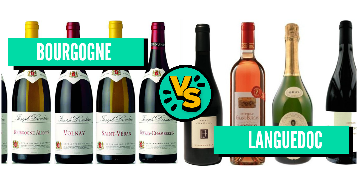 Top 15 des meilleures régions françaises pour le vin, les Français ont voté