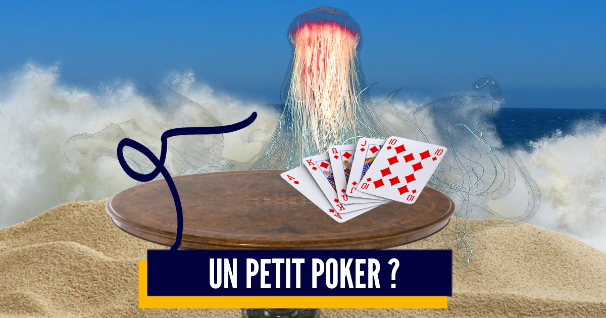Top 5 des jeux de cartes à faire avec une méduse, pour s’amuser sans ...