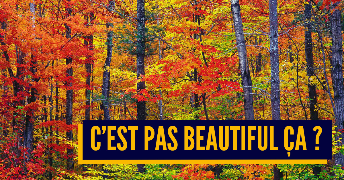 Les preuves que l’automne est la meilleure saison