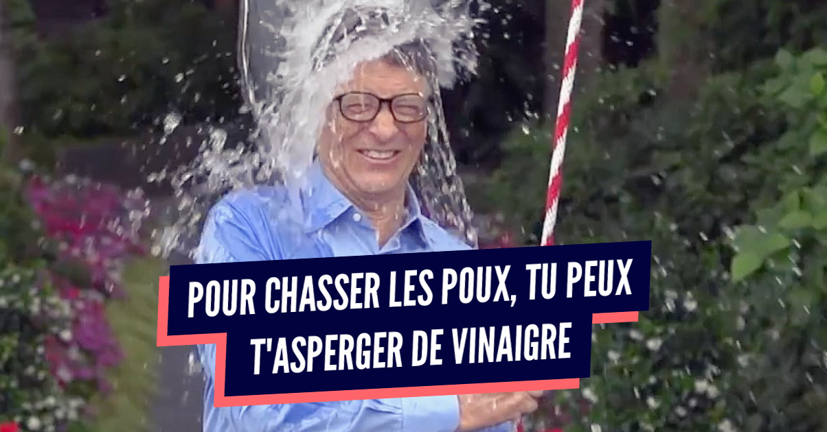 Top 8 des trucs à faire si ton gosse te refile des poux, la mort lente