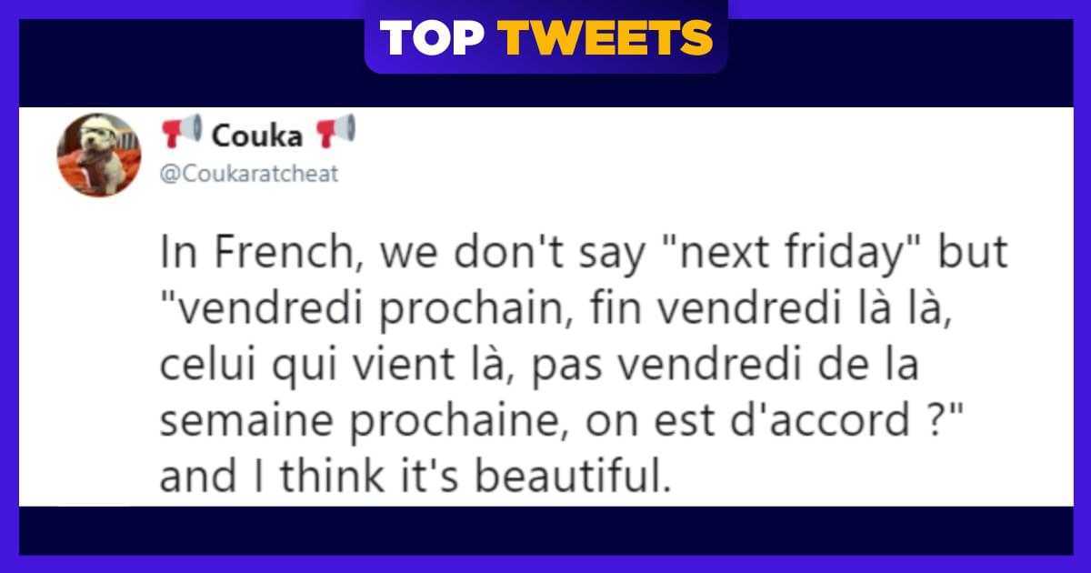Top 18 des meilleurs tweets sur la langue française, « in french we don ...