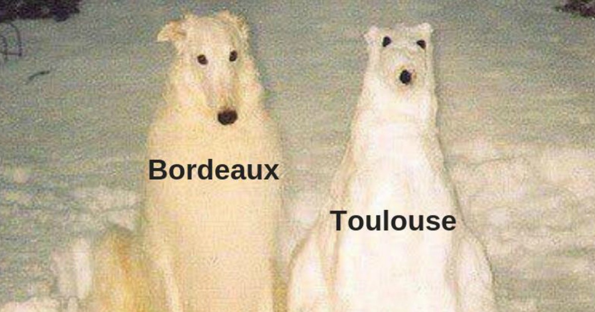 Top 7 des memes les plus drôles sur Bordeaux et le Pays basque