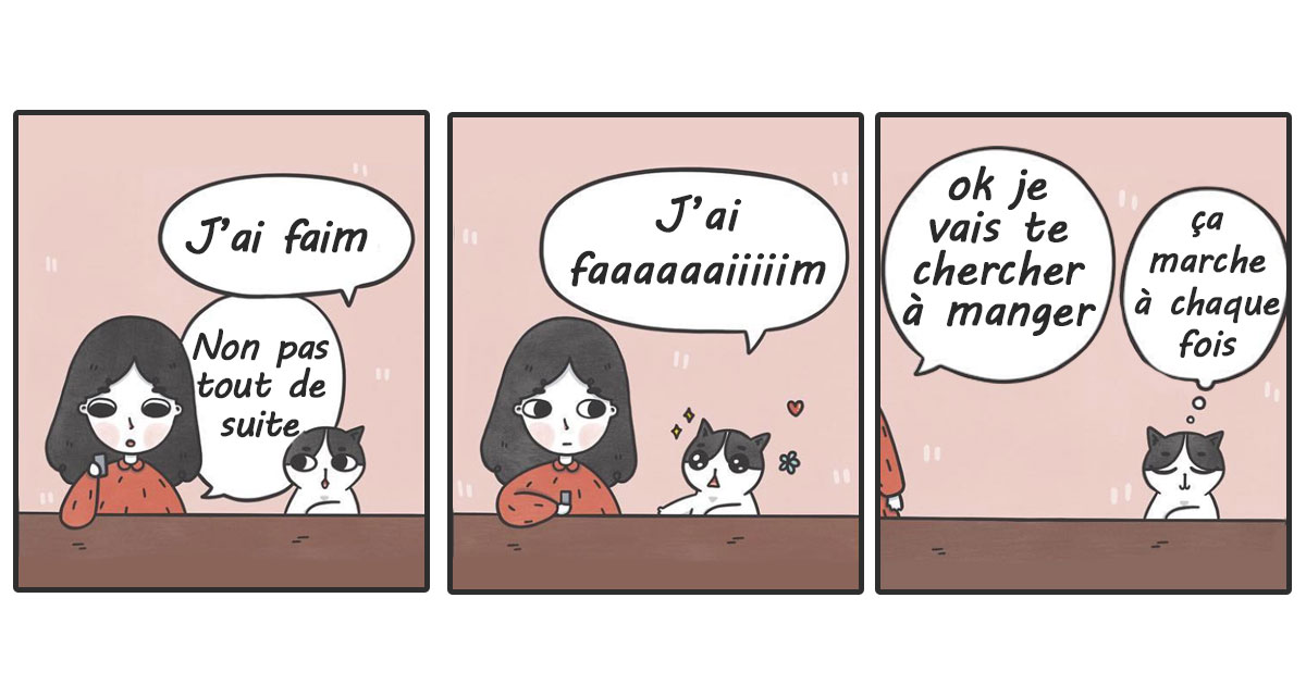 Top 10 des illustrations de Catncatcomics, le chat qui était un petit FDP