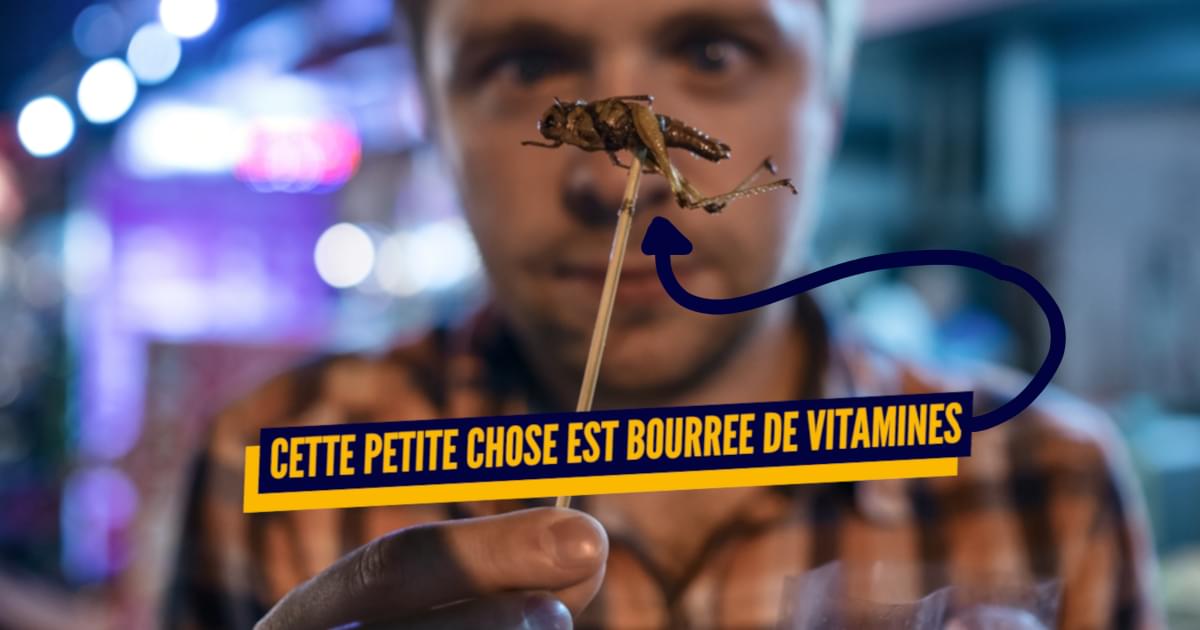 Top 10 des raisons de manger des insectes, un top un peu gluant, mais ...