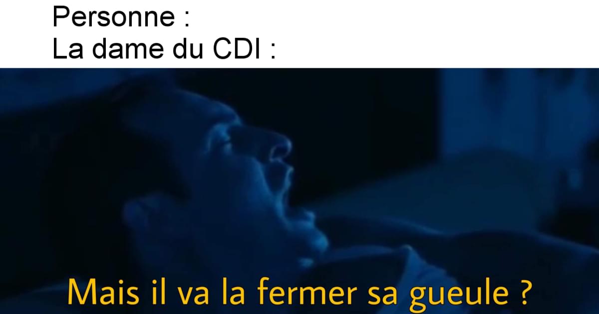 Top 20 des meilleurs memes sur OSS 117, par les merveilleux neurchis d ...