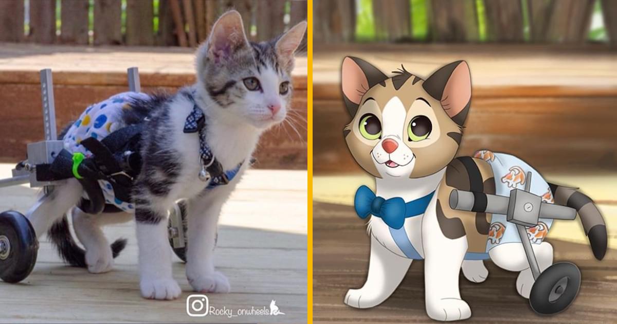 Top 15 des photos d’animaux en version Disney, le comble du cute