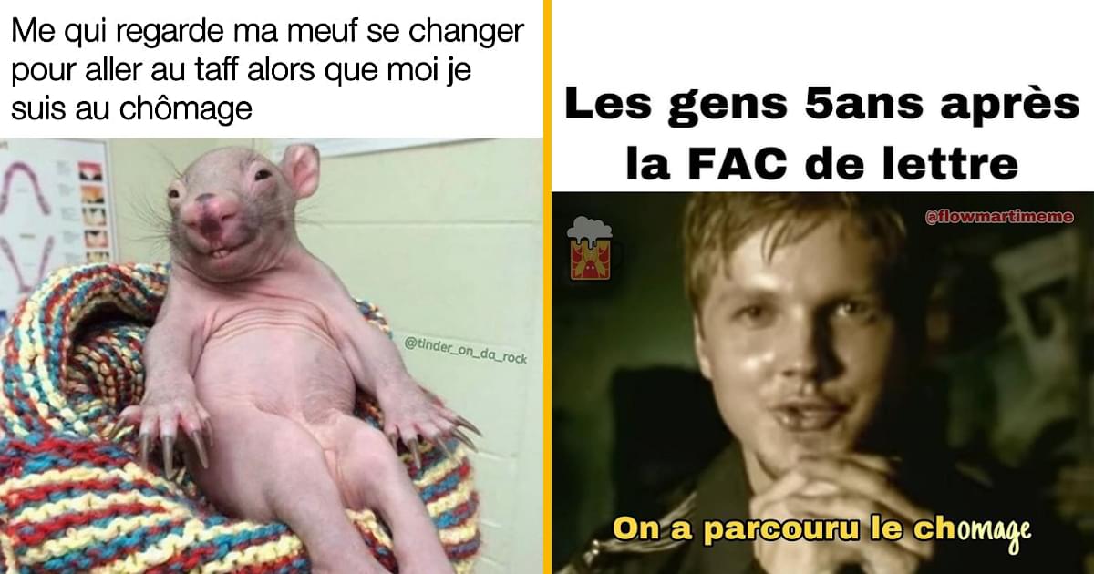 Top 20 des memes les plus drôles sur le chômage, cette grosse galère
