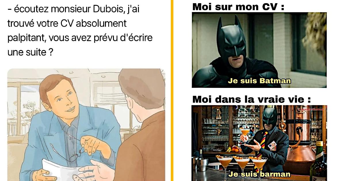 Top 20 des memes sur les CV, ce truc dans lequel on ment tous un peu
