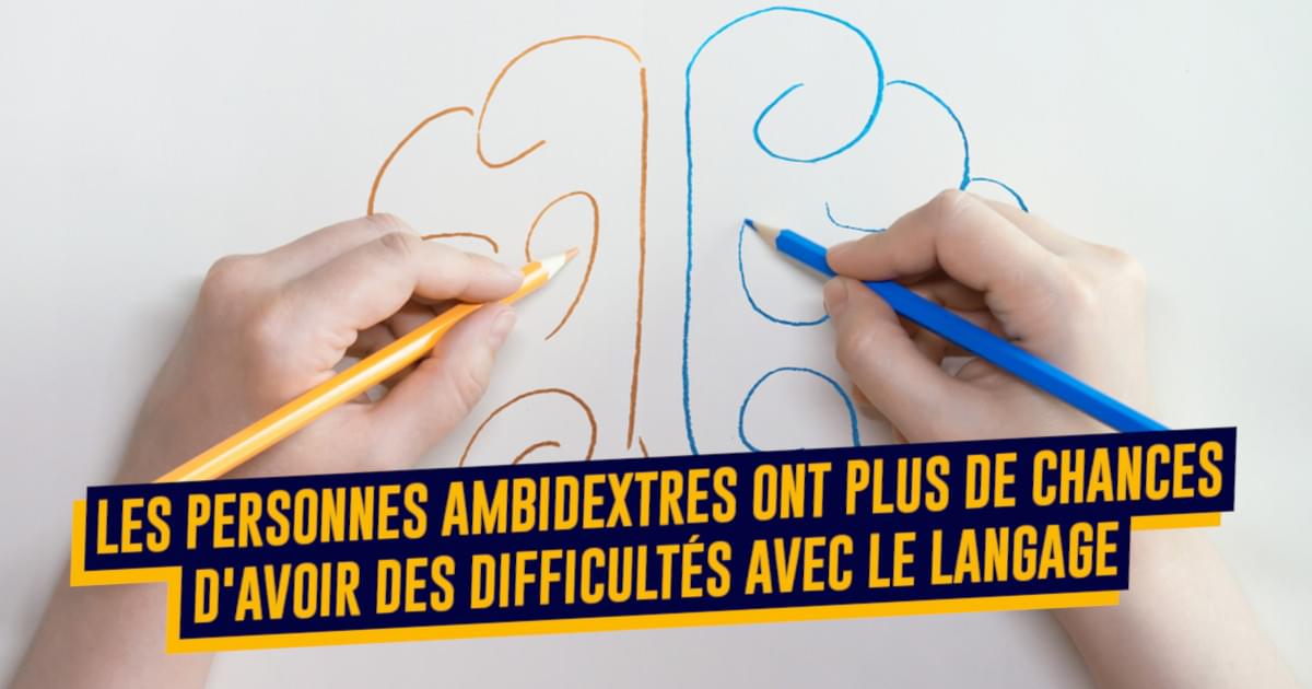 Top 10 des réponses aux questions qu’on se pose sur les ambidextres