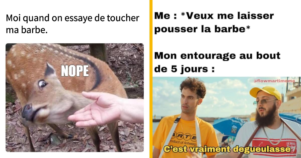 Top 17 des memes les plus drôles sur la barbe et la moustache, ça pique