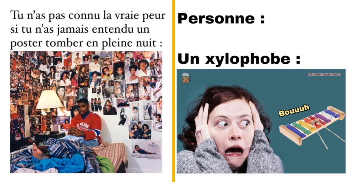 Top 20 des meilleurs memes sur la peur, les phobies, tout ce qui fout ...