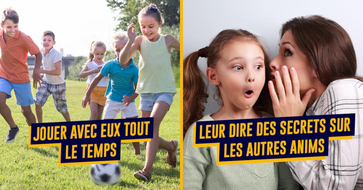 Top 14 des conseils pour être l’animateur préféré des enfants, celui ...