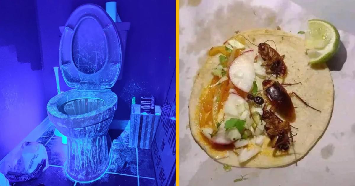 Top 19 des photos qui provoquent un frisson de dégoût, brrrrr