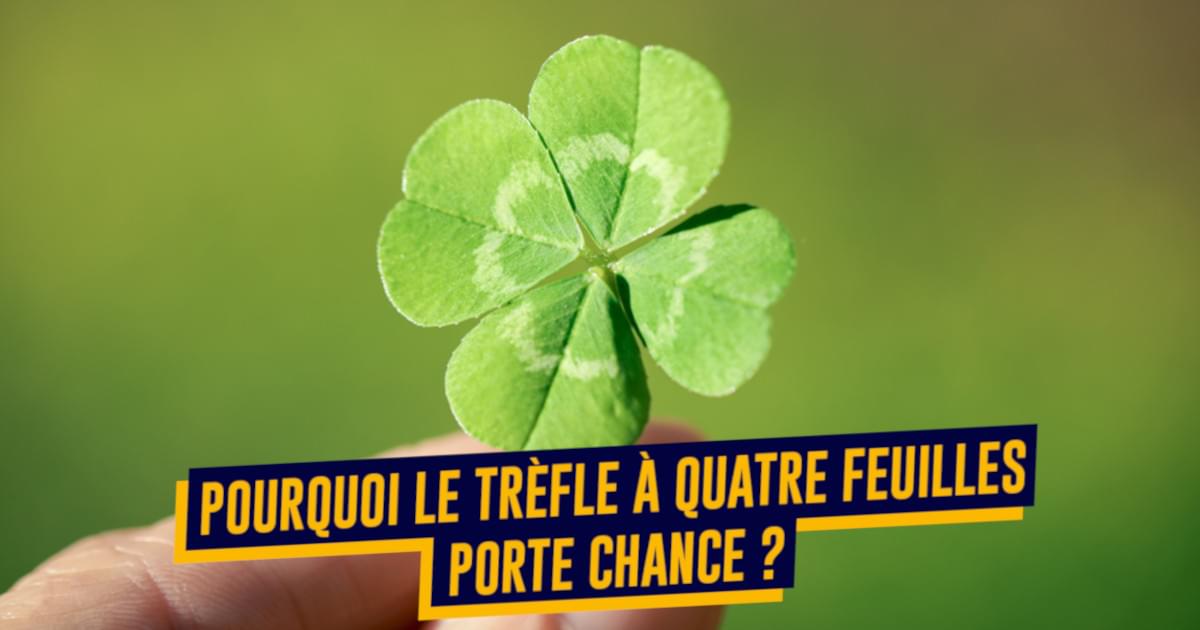 Top 10 des explications sur les porte-bonheurs, les objets qui rendent ...