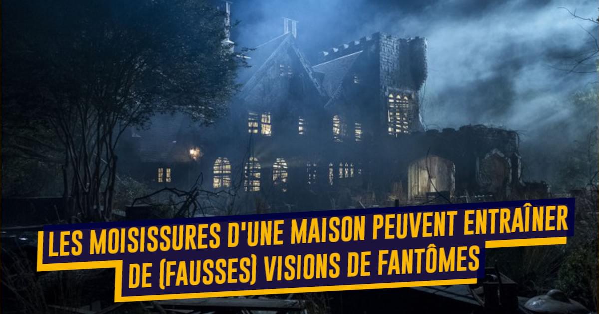 Top 8 des théories scientifiques qui expliquent pourquoi on pense voir ...