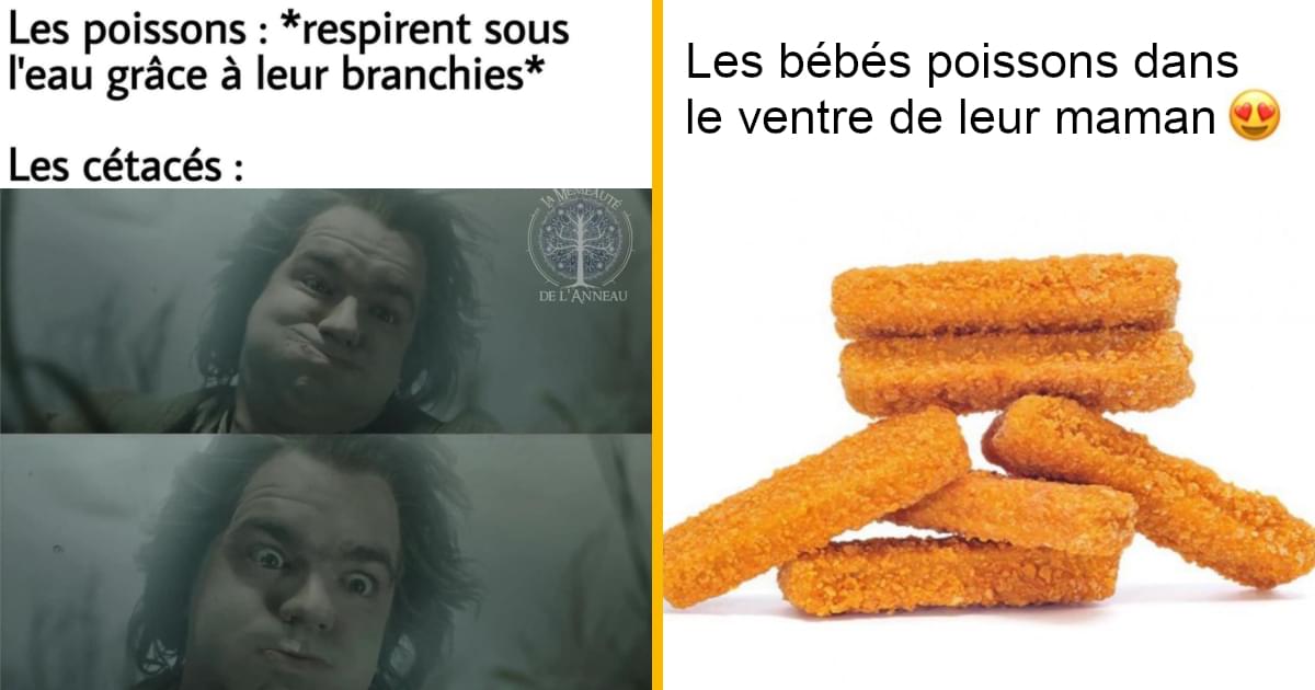 Top 15 des meilleurs memes sur les poissons, on est en Avril